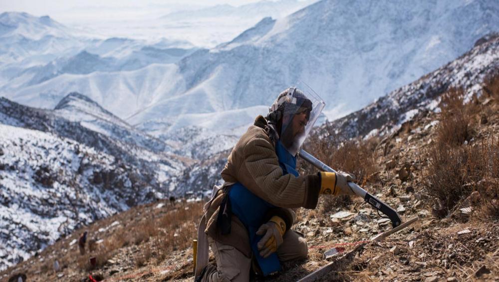 Landmine casualties high for third consecutive year despite record ...